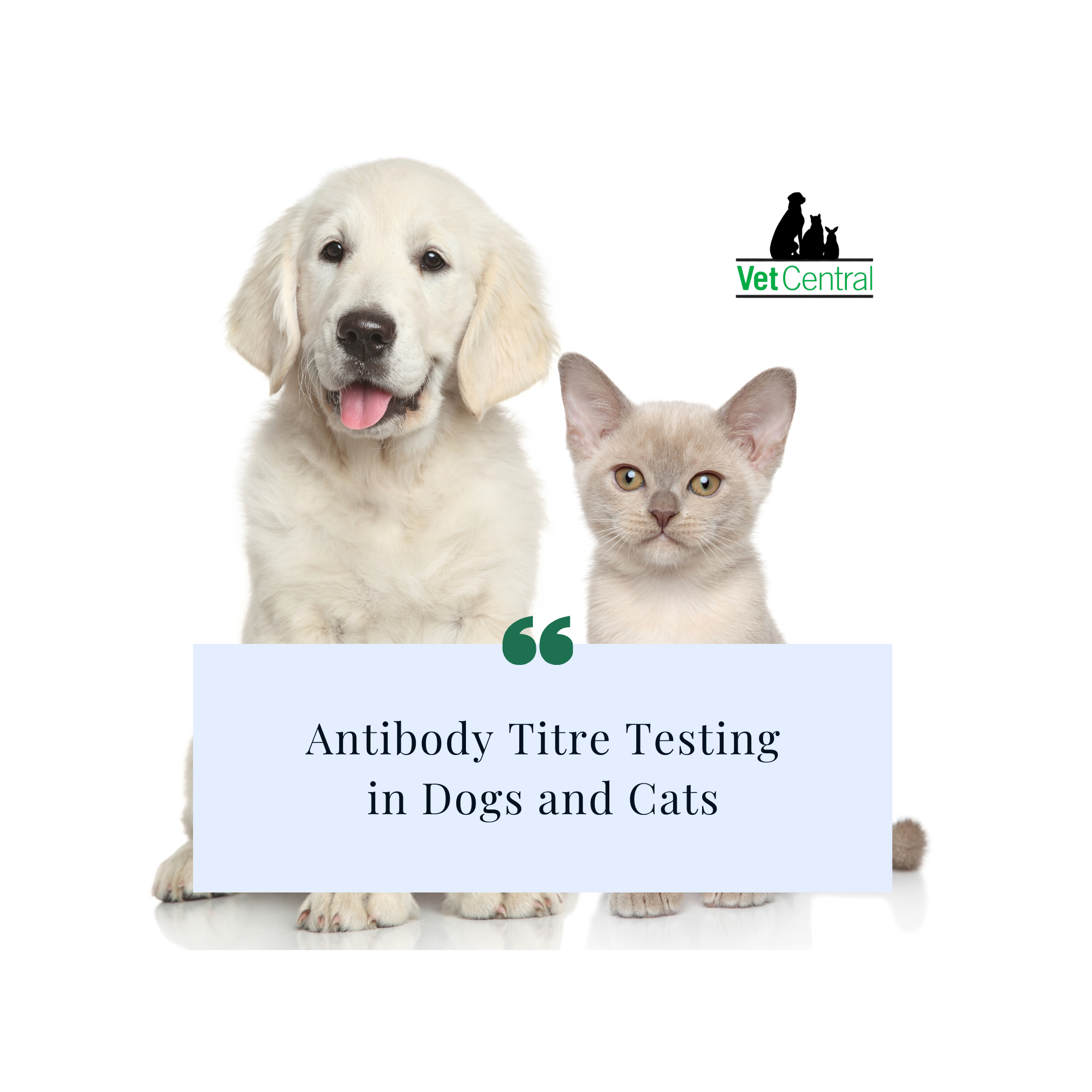 Antibody Titre Testing in Dogs and Cats – Vet Central