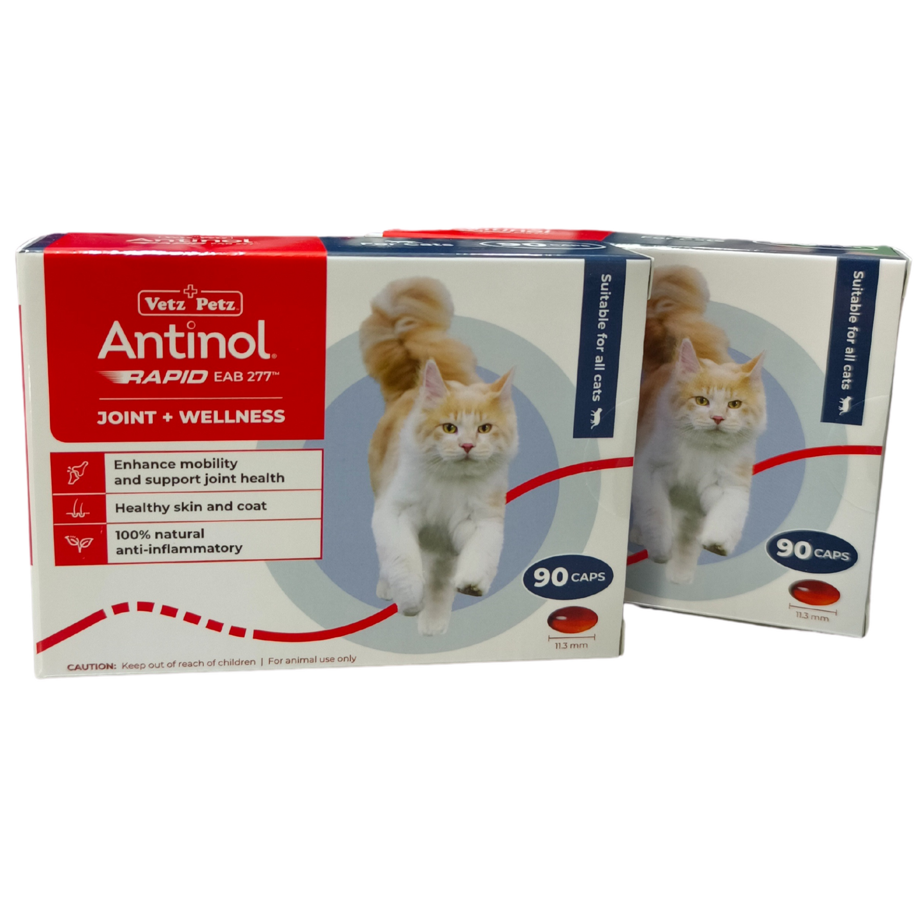 Antinol Rapid for Cats 90 Caps (Bundle of 2) – Vet Central