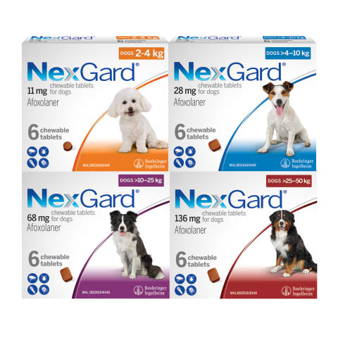 Merial NexGard Afoxolaner Chewable Tablets – Vet Central
