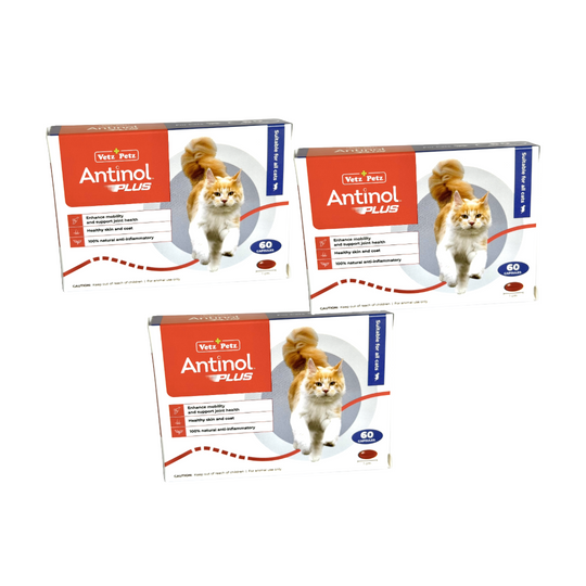 Antinol Plus for Dogs (Previously known as Antinol Rapid) – Vet Central