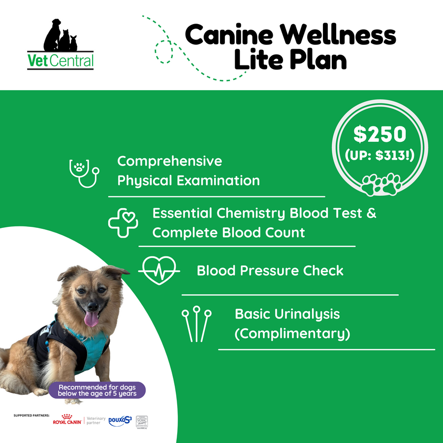 Wellness Plan – Vet Central