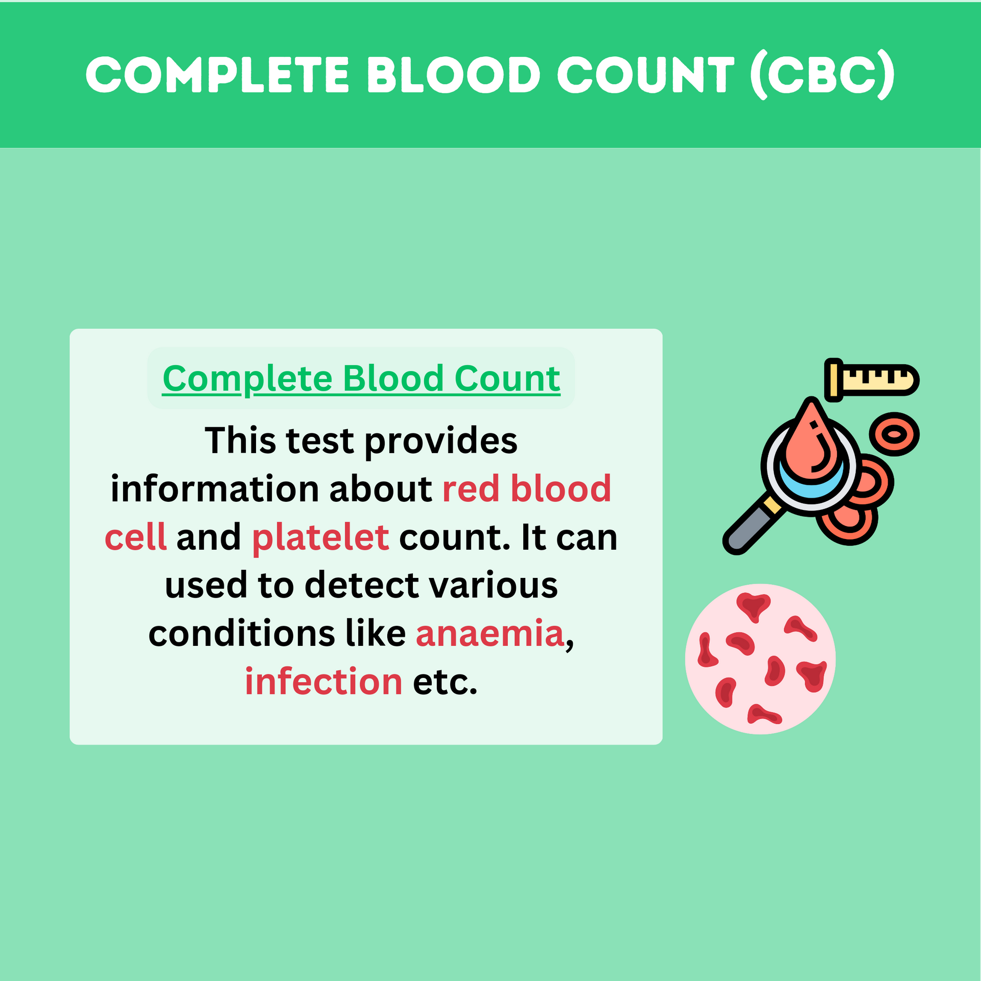 Blood Test Explained – Vet Central