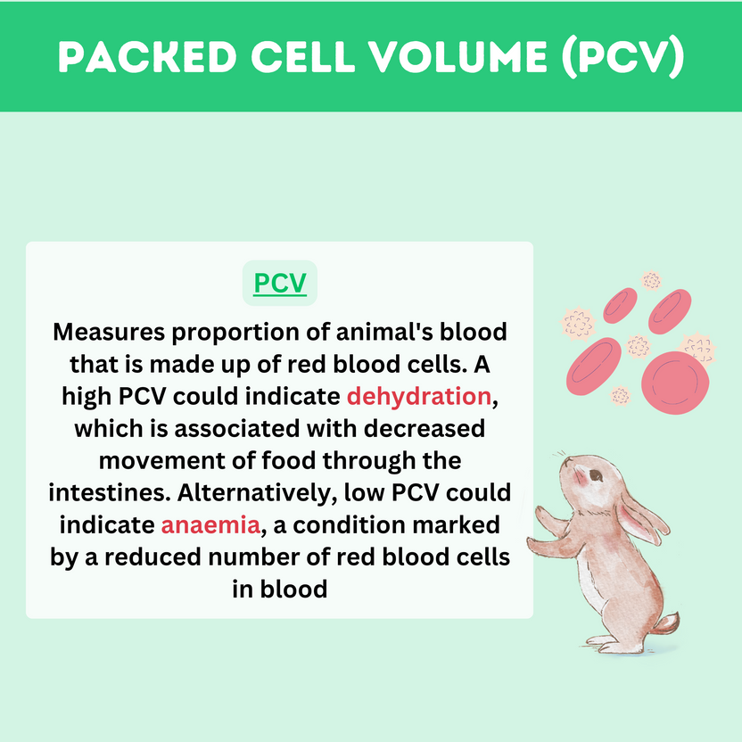Blood Test Explained – Vet Central