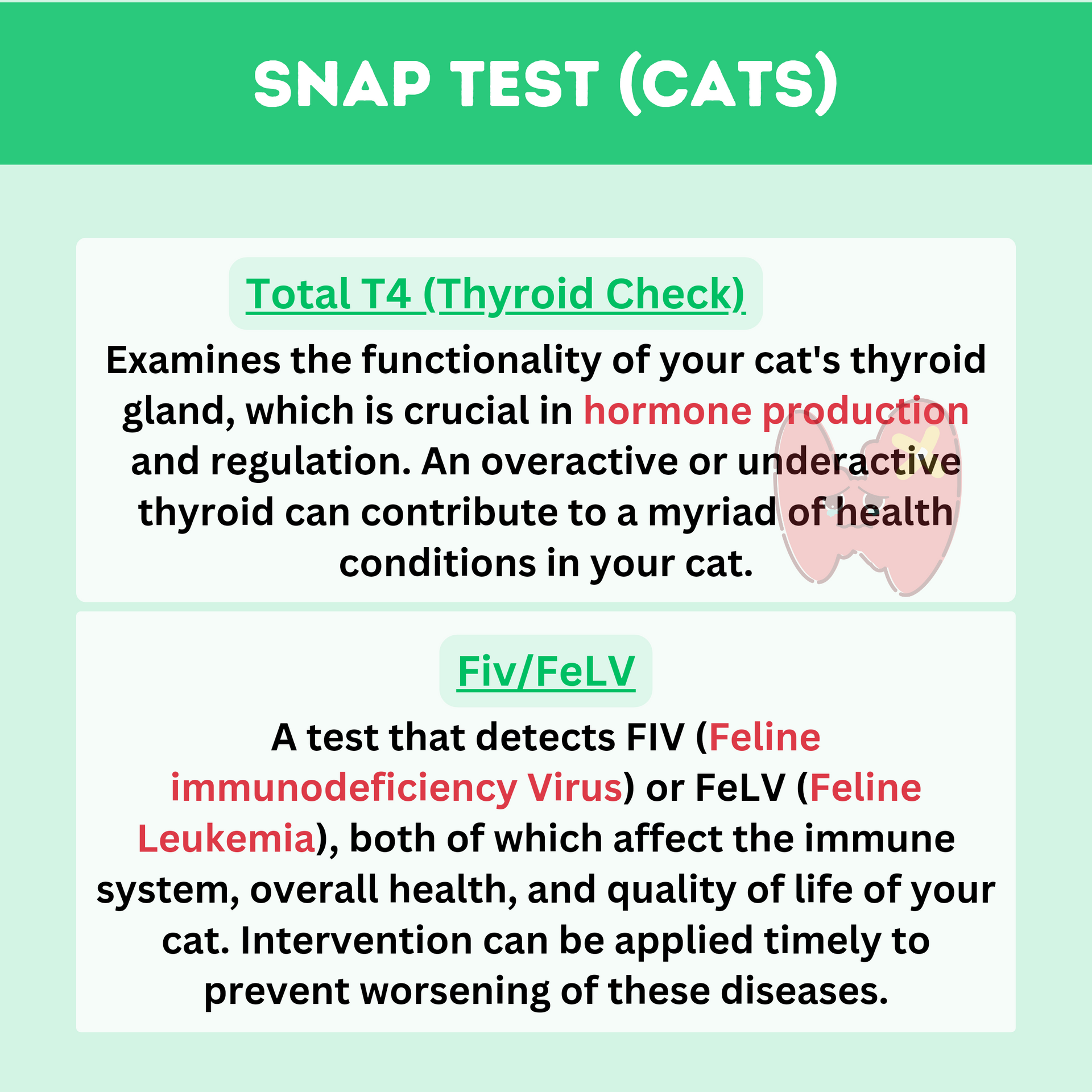 Blood Test Explained – Vet Central