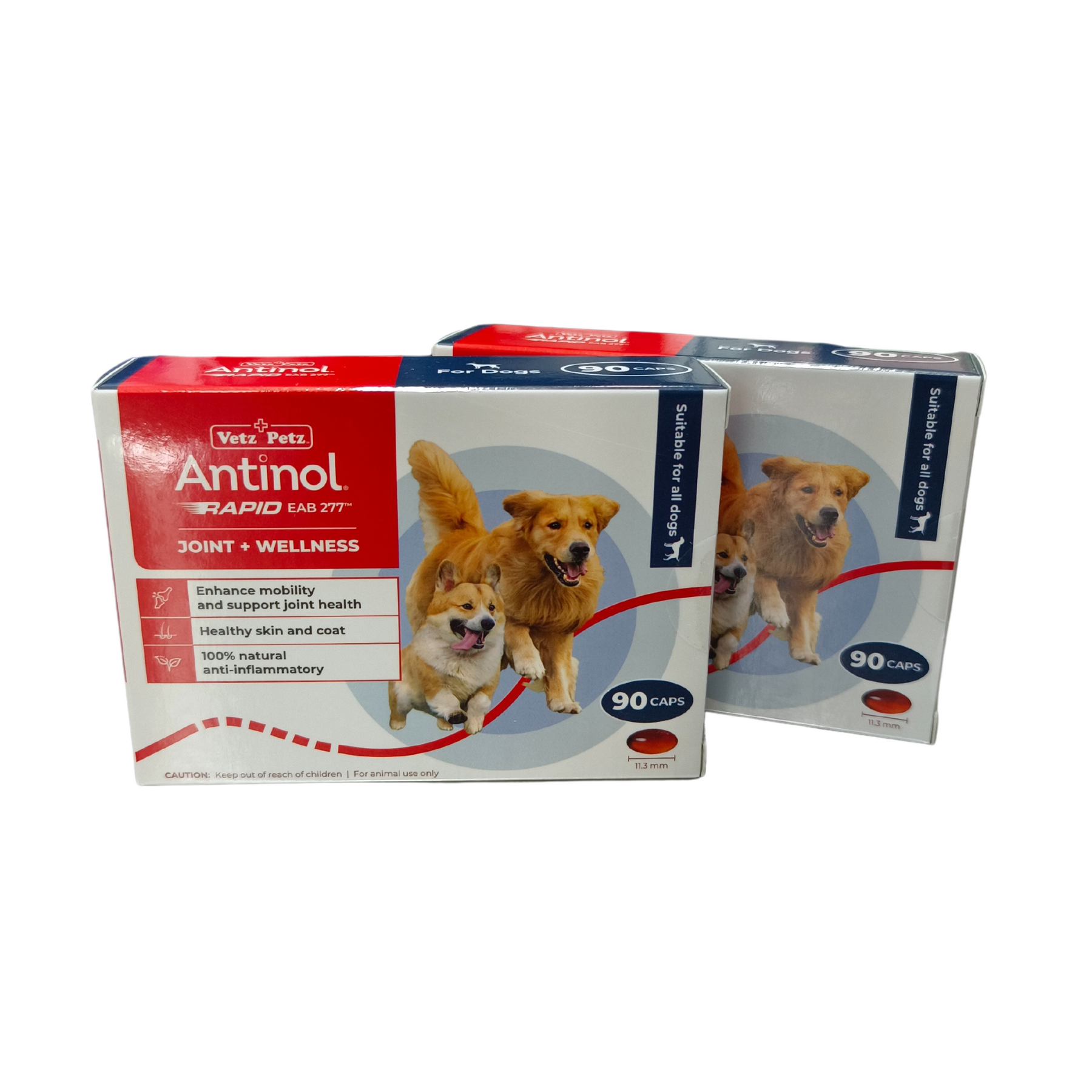 Antinol Plus for Dogs 90 Caps (Bundle of 2) – Vet Central